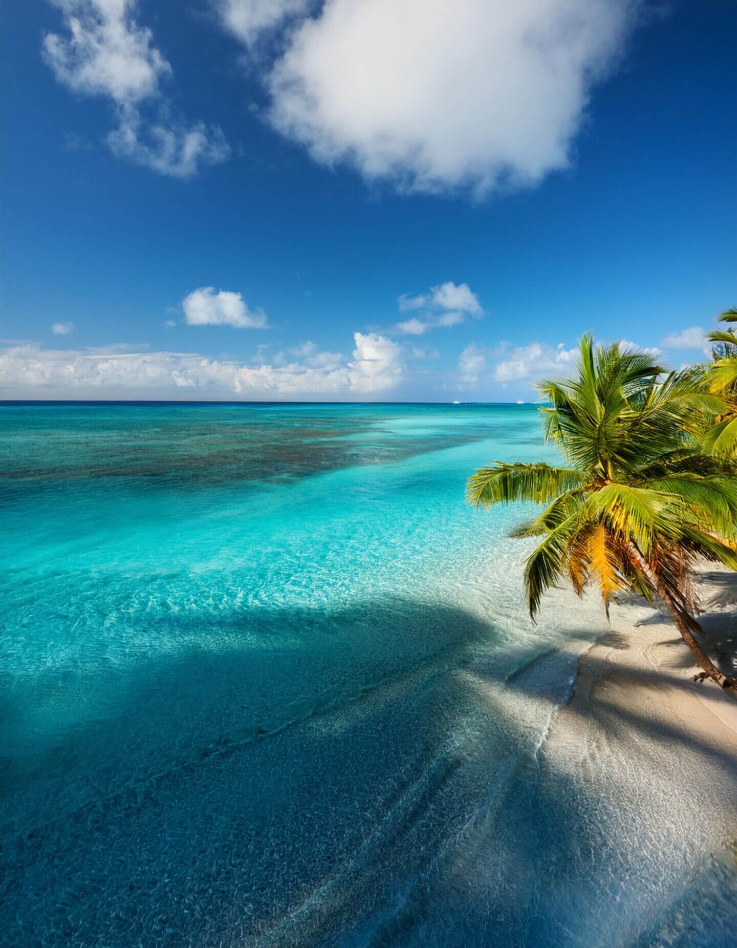 Somrus | Award-Winning Cream Liqueurs | Media